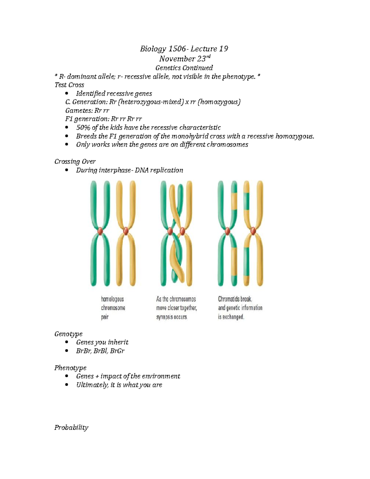 Biology 1506- Lecture 19 - * Test Cross Identified recessive genes C ...