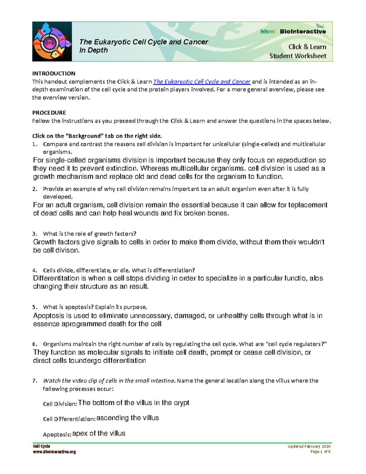 Cell Cycle and Cancer HHMI Worksheet - Click & Learn Student Worksheet ...