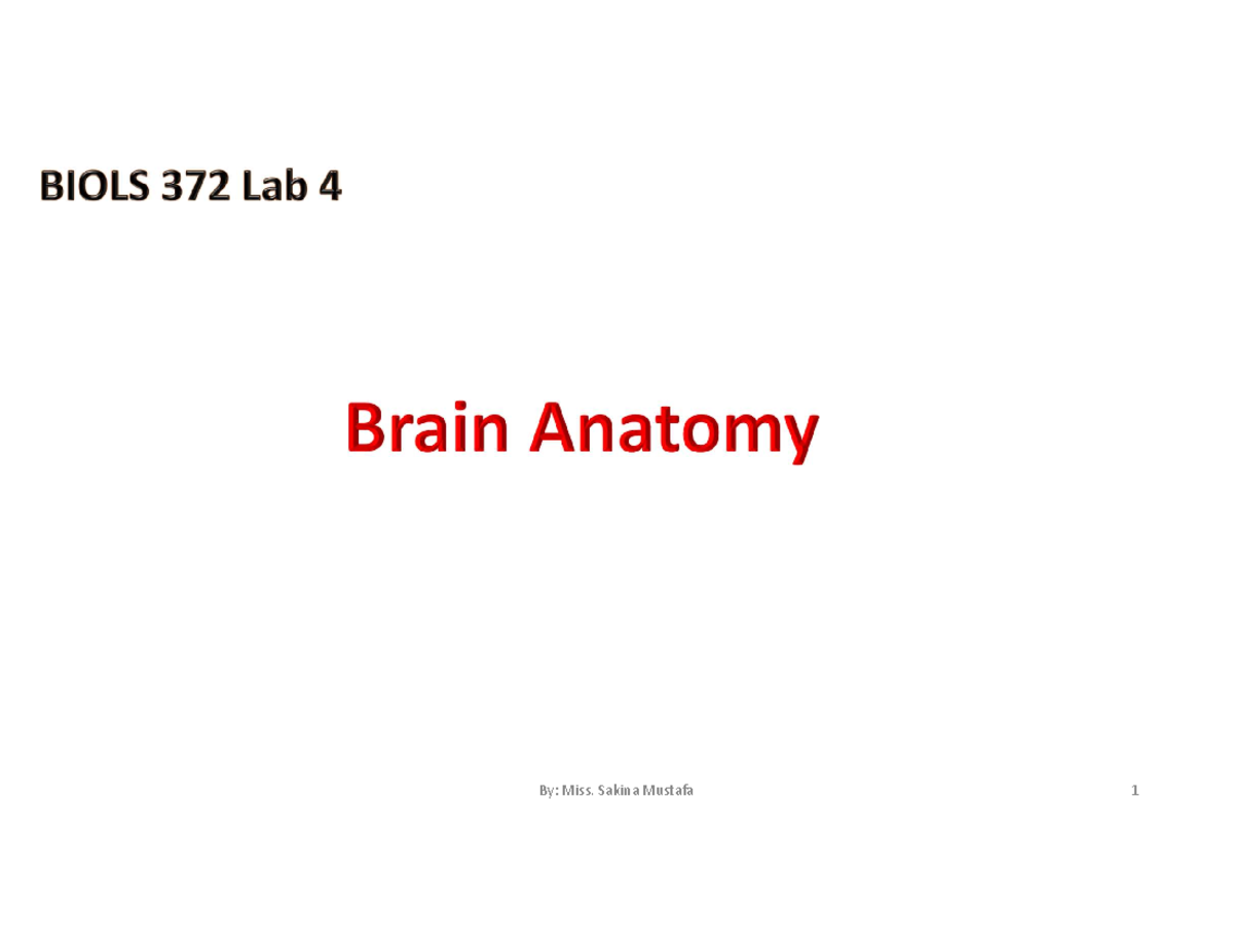 55 - Notes for studying - Neurulation: An embryonic stage during which ...