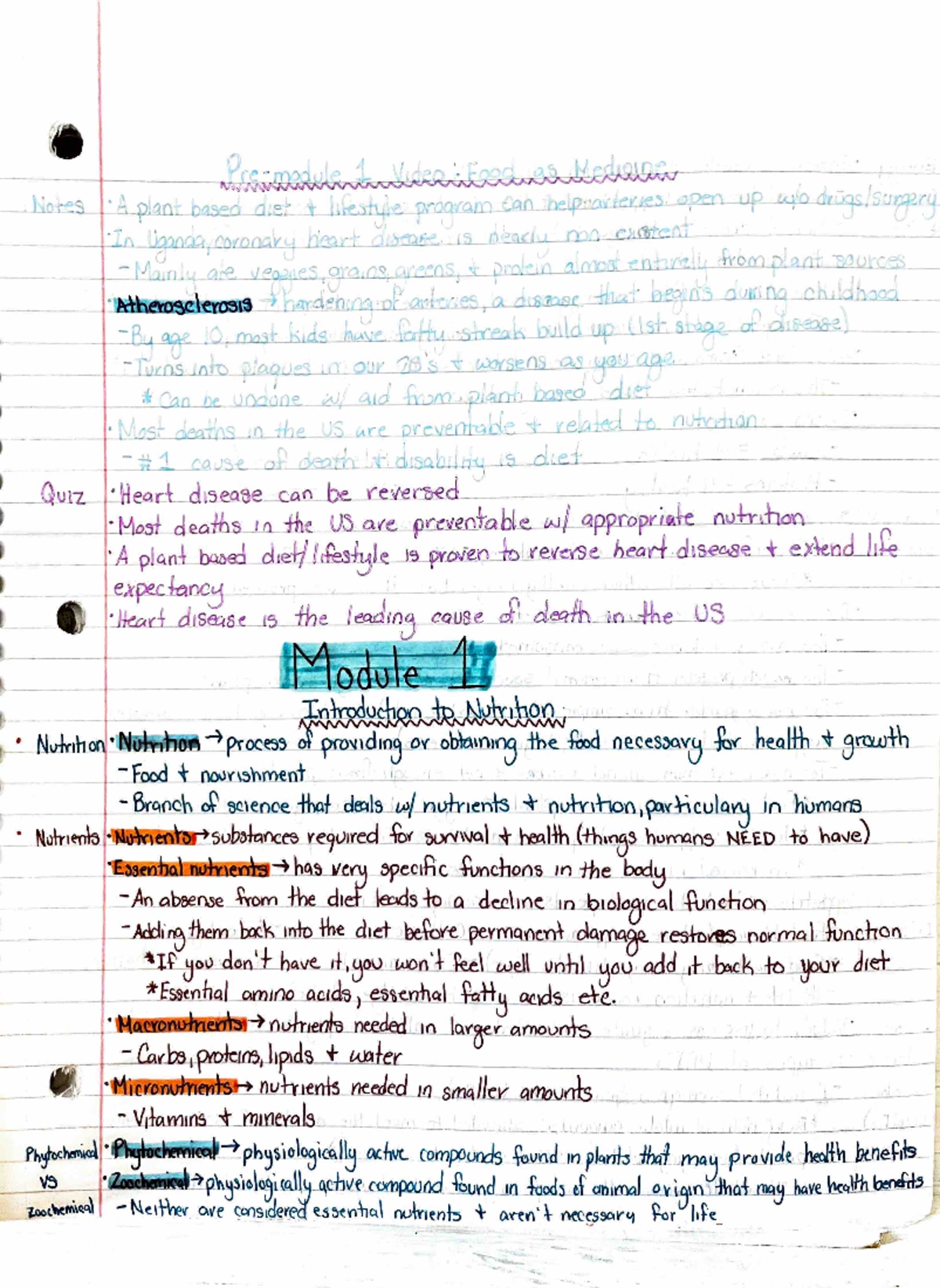 FND module 1 - Jeff - FND 250 - Studocu