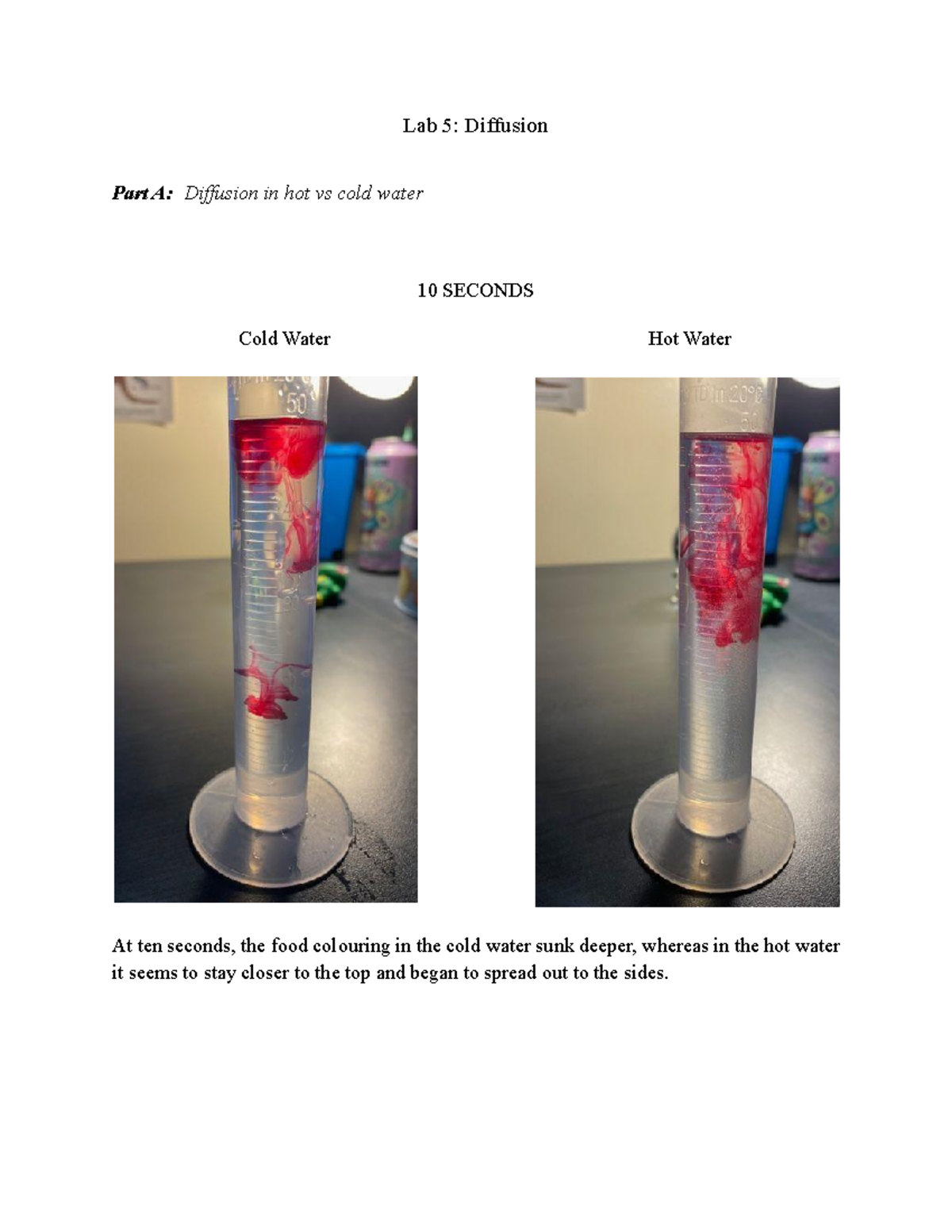 Lab 5 Diffusion - Lab 5: Diffusion Part A: Diffusion in hot vs cold water 10 SECONDS Cold Water ...