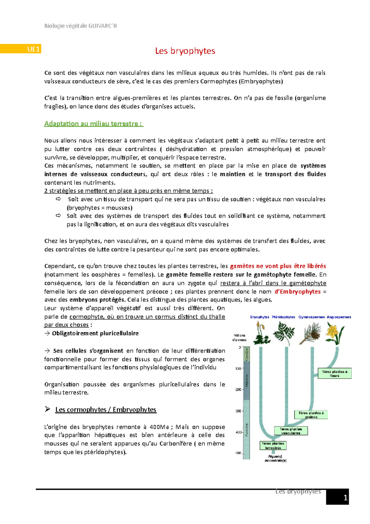 Les bryophytes - cours sur les bryophyte 2022/2023 - Les bryophytes Les ...