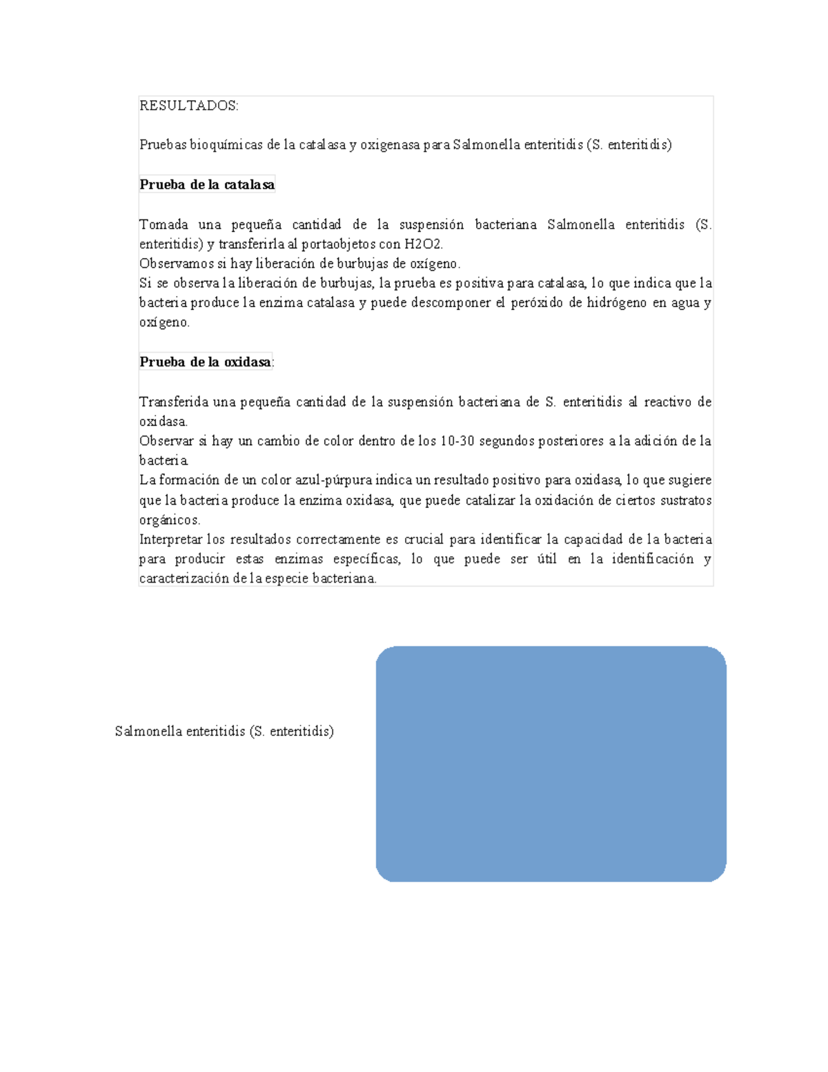 Resultados S. Enteritidis - RESULTADOS: Pruebas bioquímicas de la ...