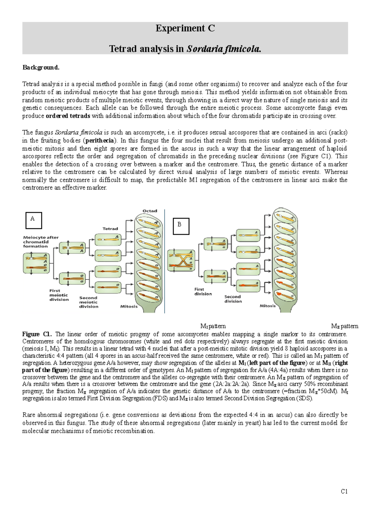 Exp C 2023 - Practicum - Experiment C Tetrad analysis in Sordaria ...
