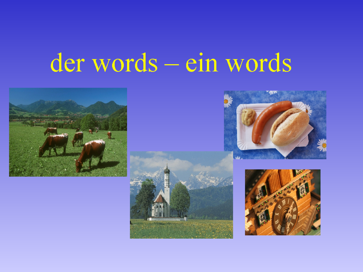 Vorlesungsmitschriften - more ein and der words (exercises) - der words ...