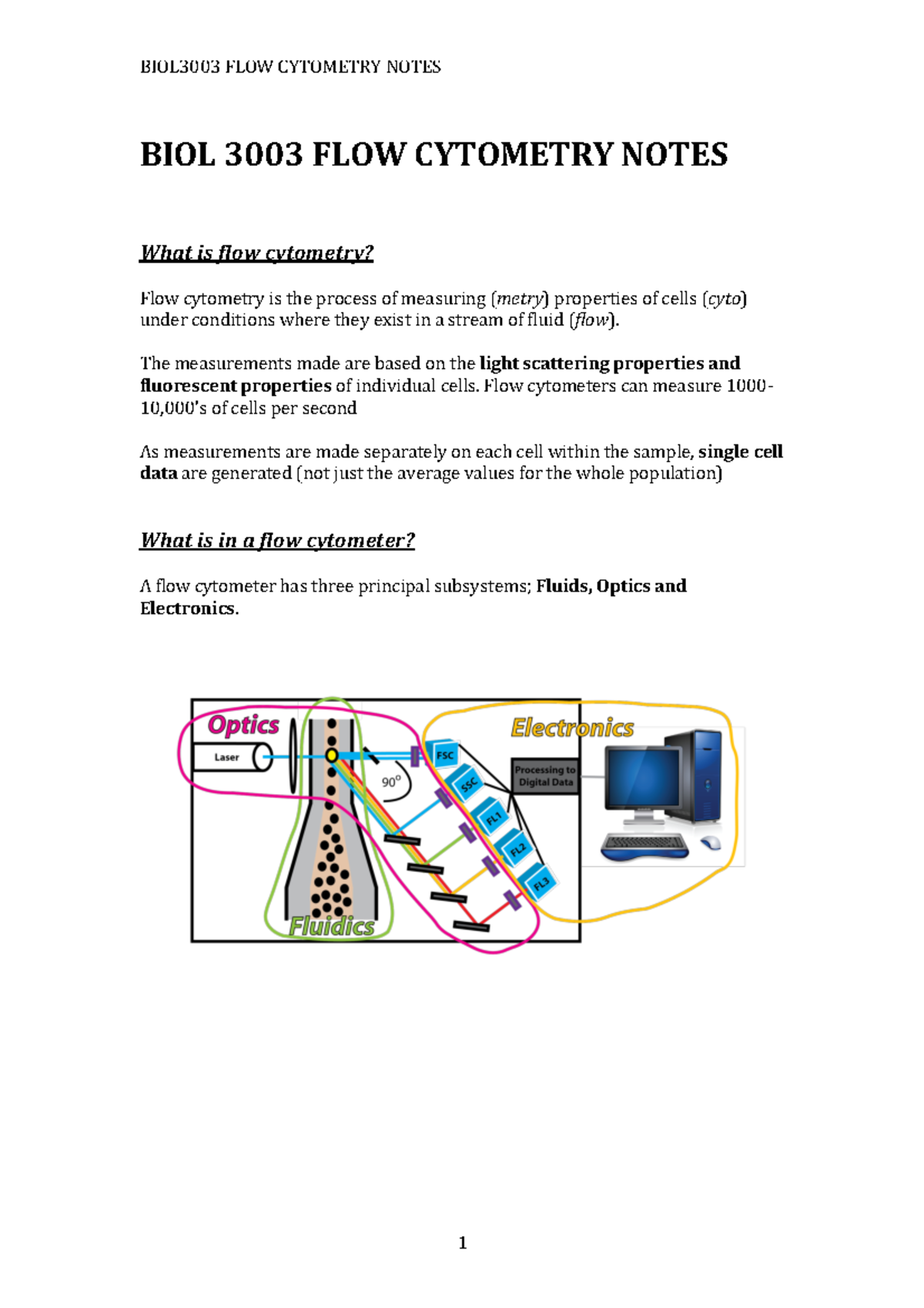 BIOL3003 FLOW Cytometry Background - BIOL 3003 FLOW CYTOMETRY NOTES ...