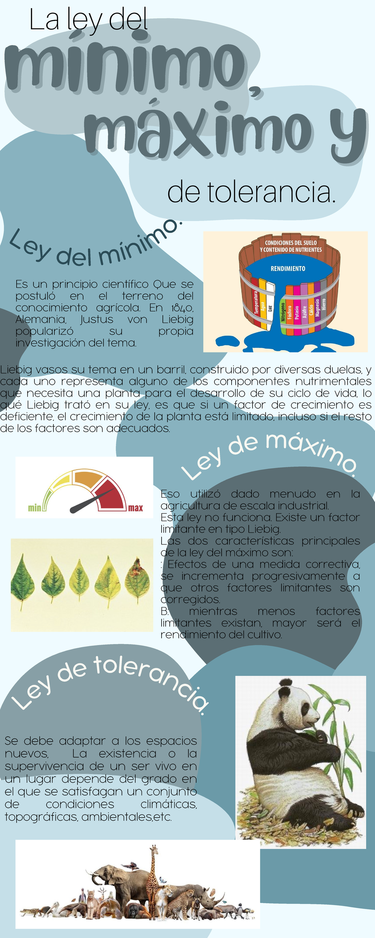 LEY DEL MAXIMO Y MINIMO - Se debe adaptar a los espacios nuevos, La ...
