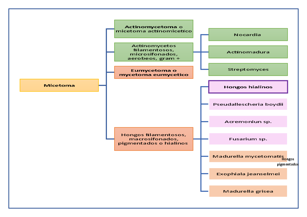 8 Micetomas - Deber de Orlando Ramos - Micetoma Actinomycetoma o ...