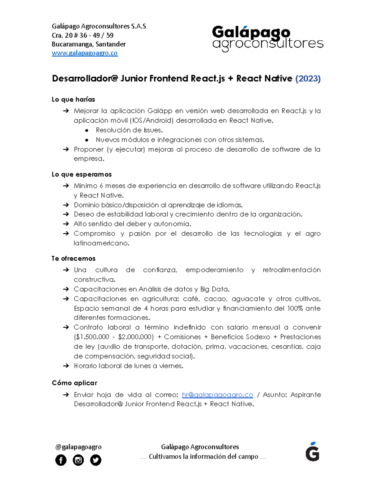 Perfil - Desarrollador@ Junior Frontend React.js + React Native ...