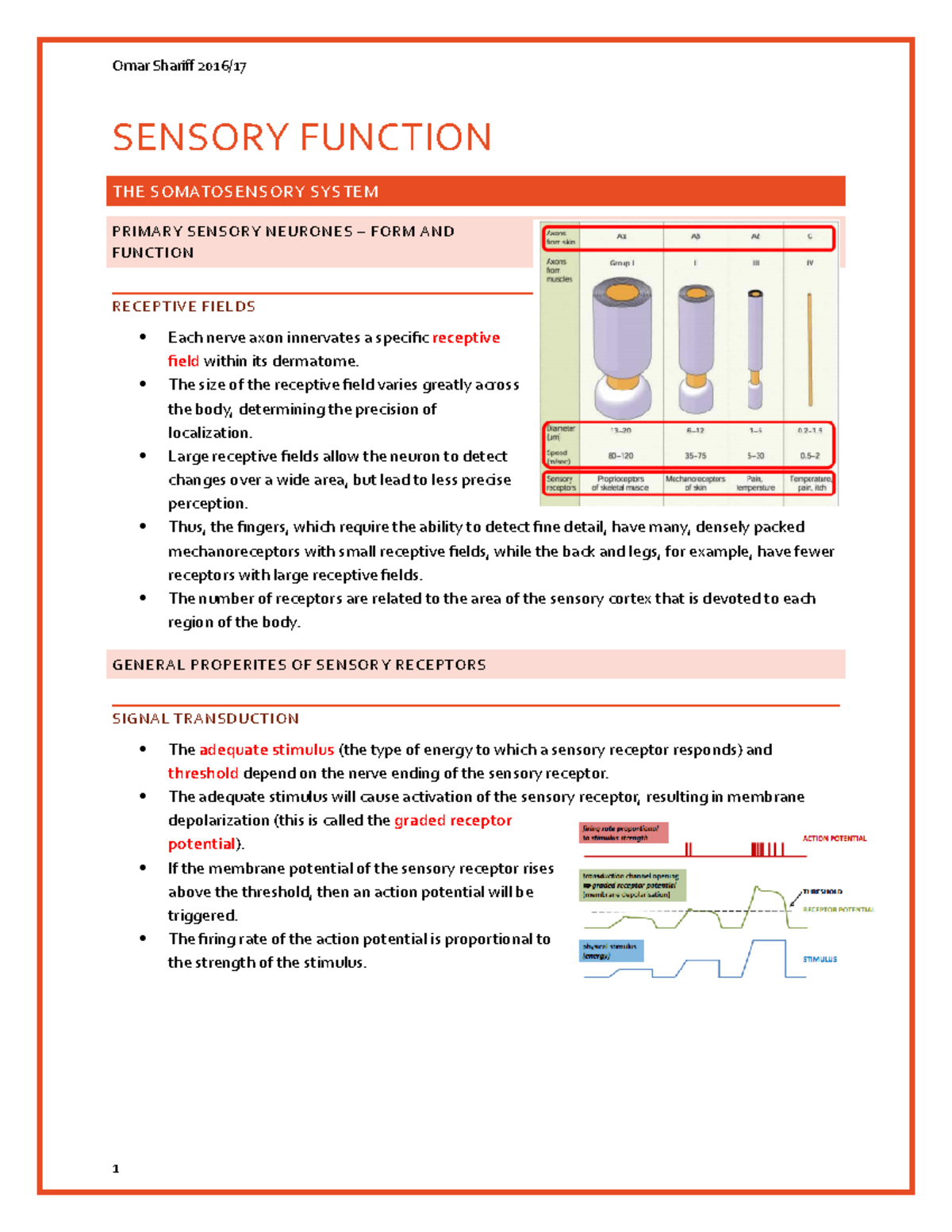 Sensory Function - BAB Notes - SENSORY FUNCTION THE SOMATOSENSORY ...