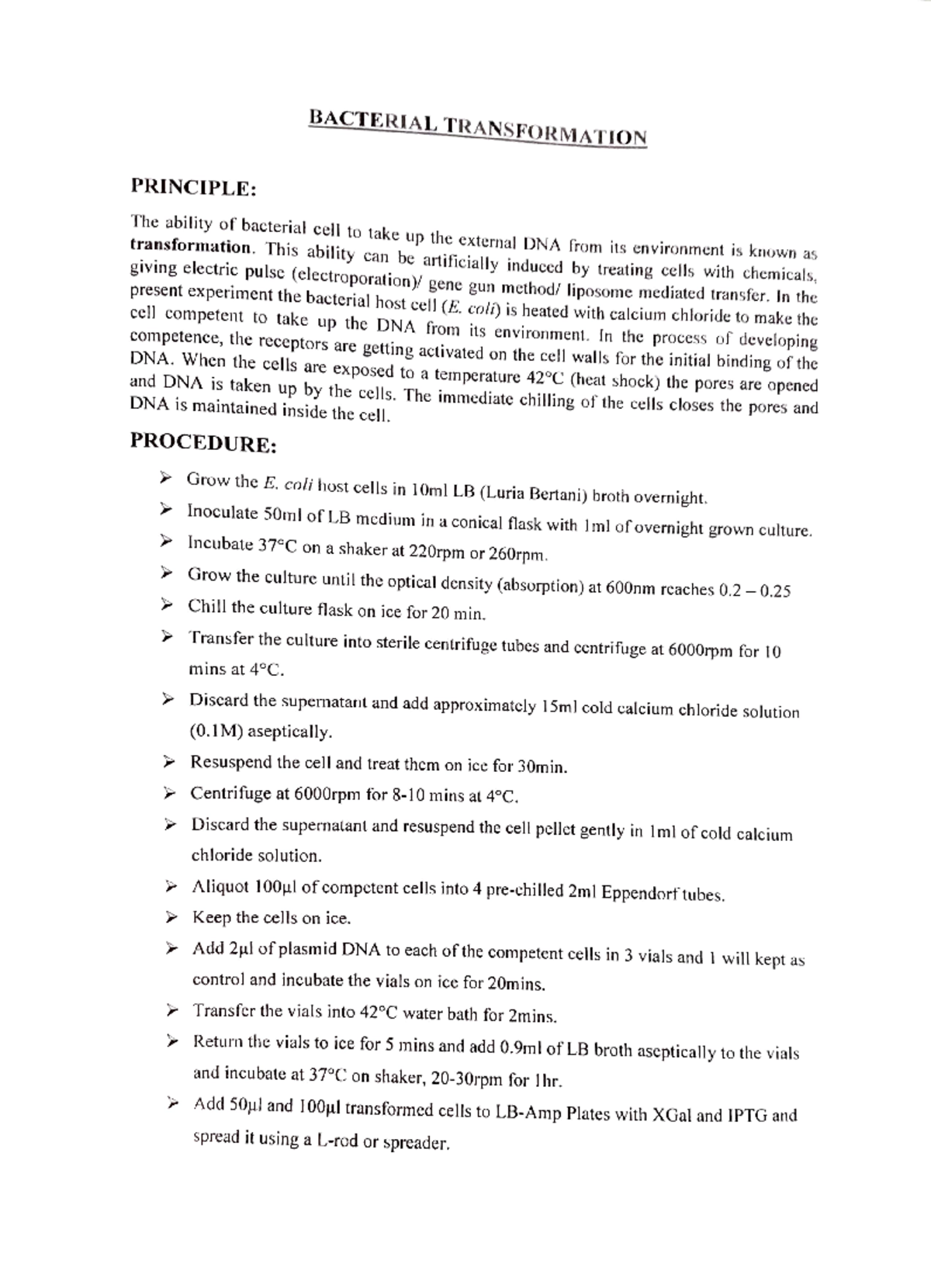 Bacterials Transformation Protocol - BACTERIAL TRANSFORMATION PRINCIPLE: The ability of ...