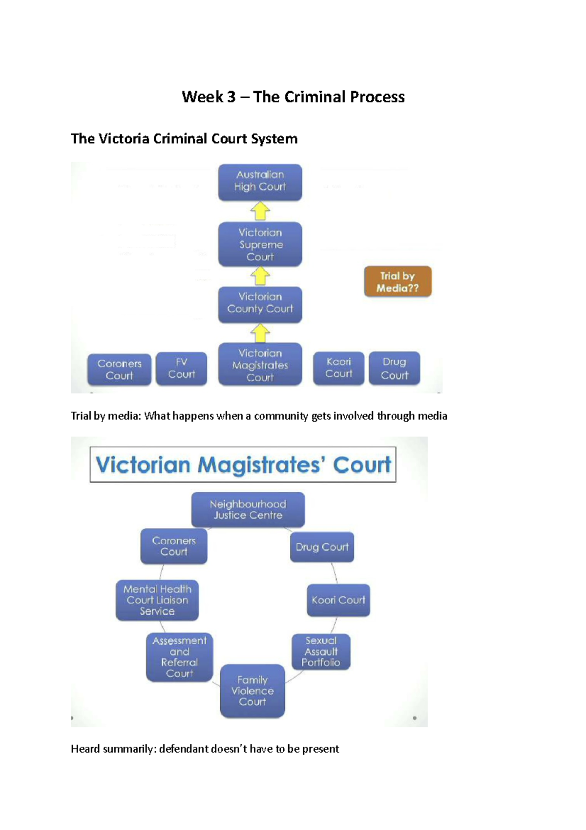 Week 3 – The Criminal Process - Week 3 – The Criminal Process The ...