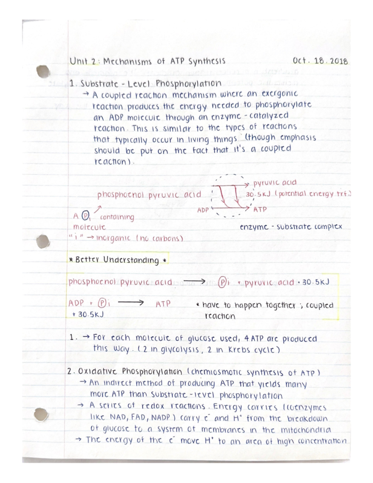Mechanisms of ATP Synthesis - Studocu