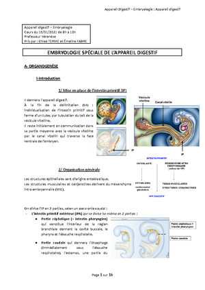 ANNEXES FOETALES - ANNEXES FŒTALES I. PLACENTA A. FORMATION DE LA ...