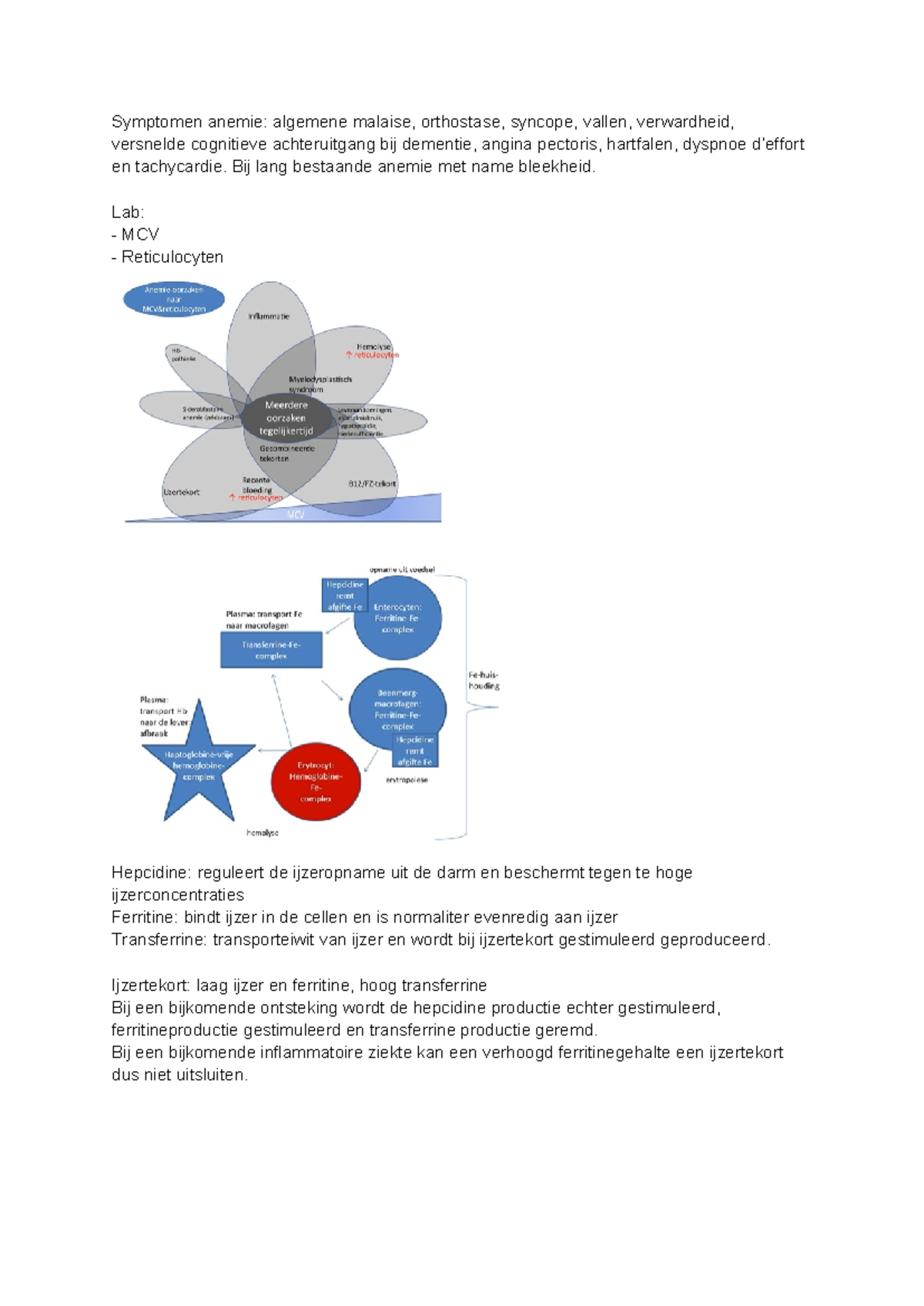 EL + KC Anemie bij Ouderen - Symptomen anemie: algemene malaise ...