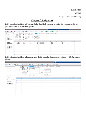 Chapter 4 Visual Assignment - Rasikh Khan BCS Enterprise Resource ...