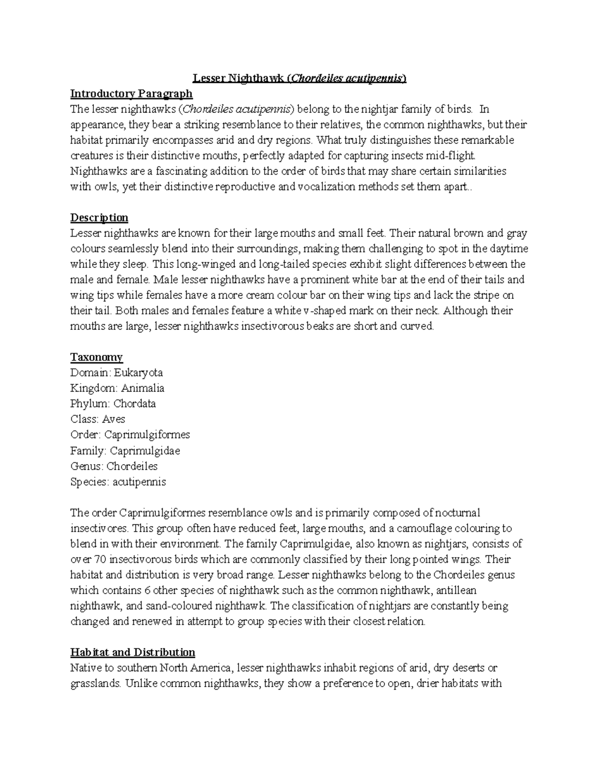 Wikipedia Assignment - Teacher is Kyle Elliot - Lesser Nighthawk ...