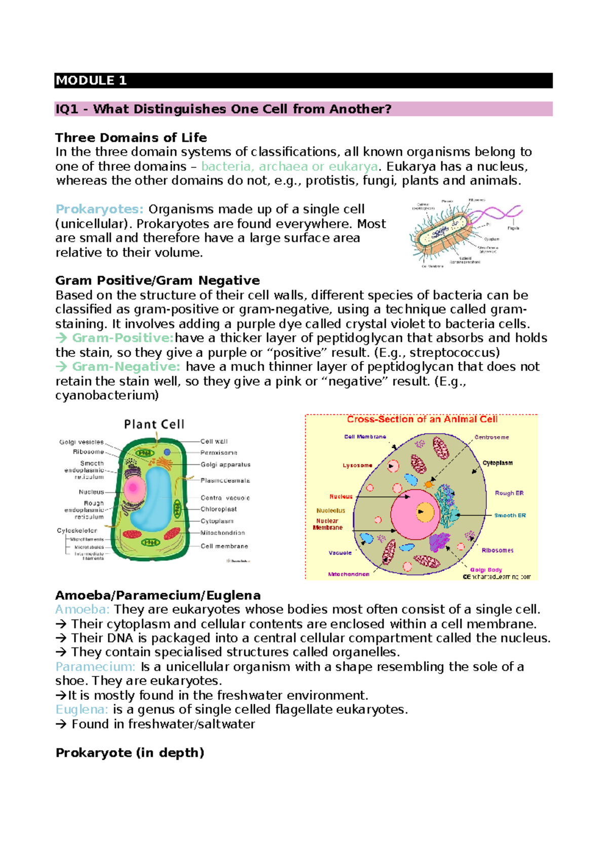 YEAR 11 Biology Notes - MODULE 1 IQ1 - What Distinguishes One Cell from ...