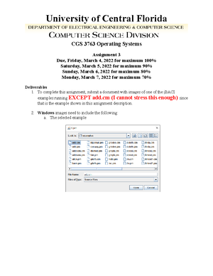CGS2545 Assignment 1 - bruh - University of Central Florida CGS 2545 Database Concepts ...