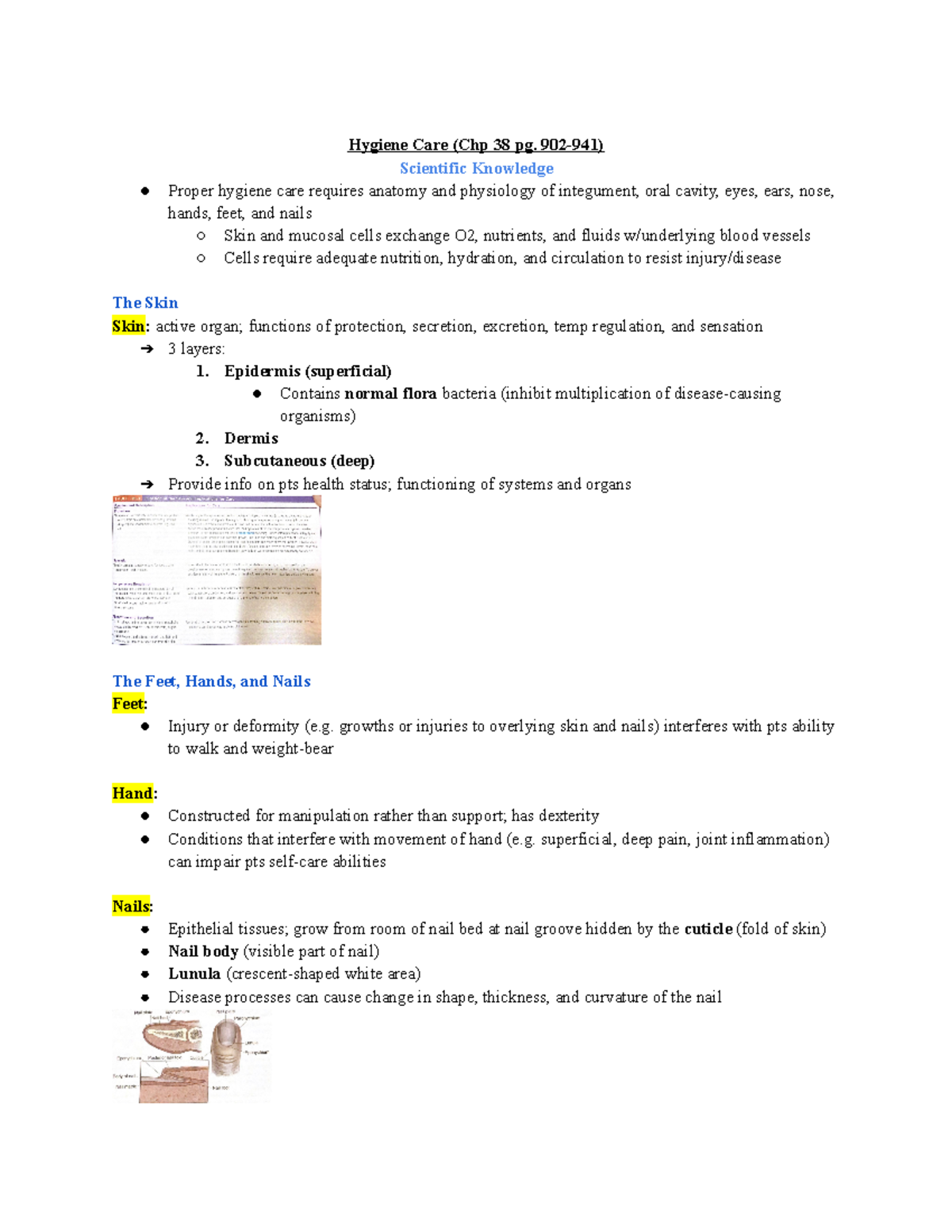 Week 10 Reading Notes Hygiene Care & Application of Briefs - Hygiene ...