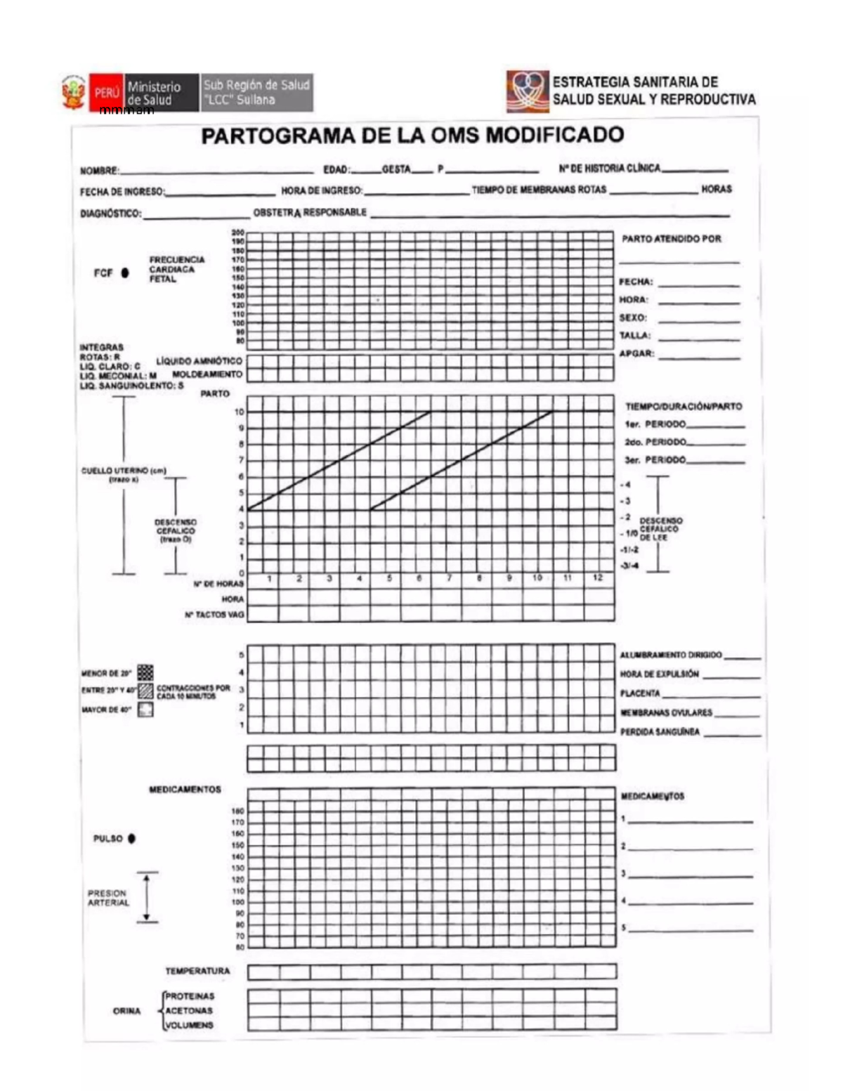 Partograma Minsa imprimir - PERU Ministerio Sub Región de Salud ...