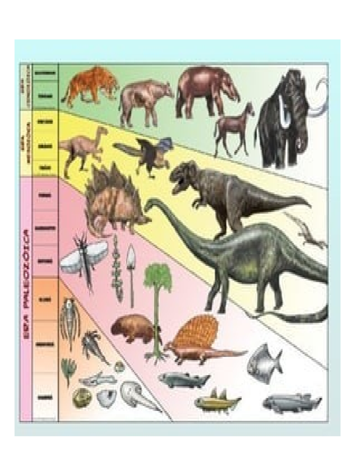 Fisio 1 - ya no te buscare a lo emjr es no quiste a lo emjr untexto ...