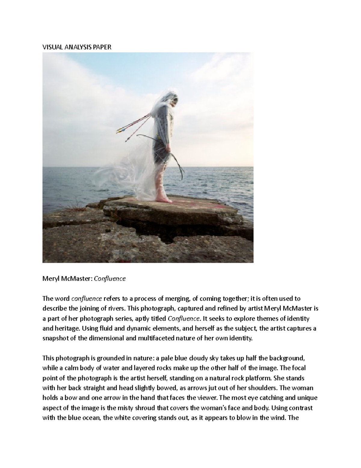 Visual analysis assignment - VISUAL ANALYSIS PAPER Meryl McMaster ...
