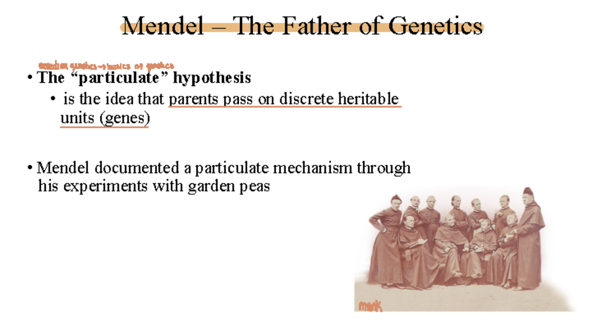 Lecture 7 - Notes - • The “particulate” hypothesis • is the idea that ...