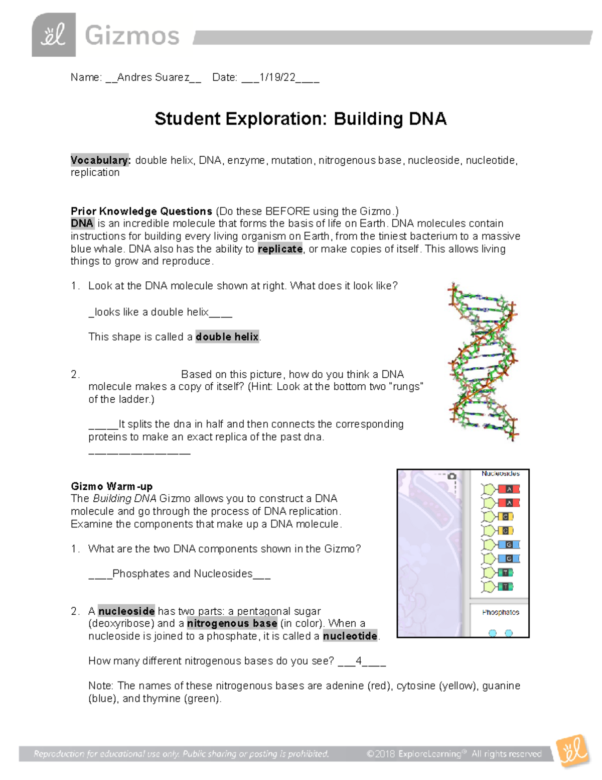 Building DNA Gizmos - Name: Andres Suarez Date: 1/19/22_ Student ...