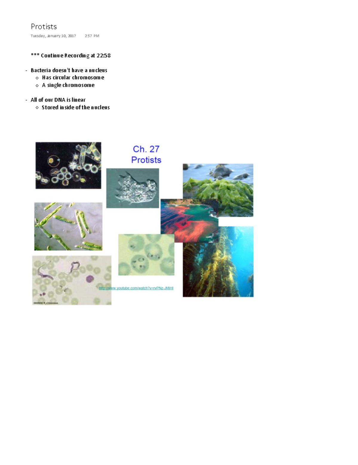 BIOL 1108 - Protists - Warning: TT: undefined function: 32 *** Continue Recording at 22: Has ...