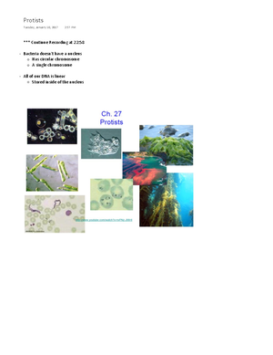 BIOL 1108 - How Plants Colonized Land - CH 29 - Warning: TT: undefined ...