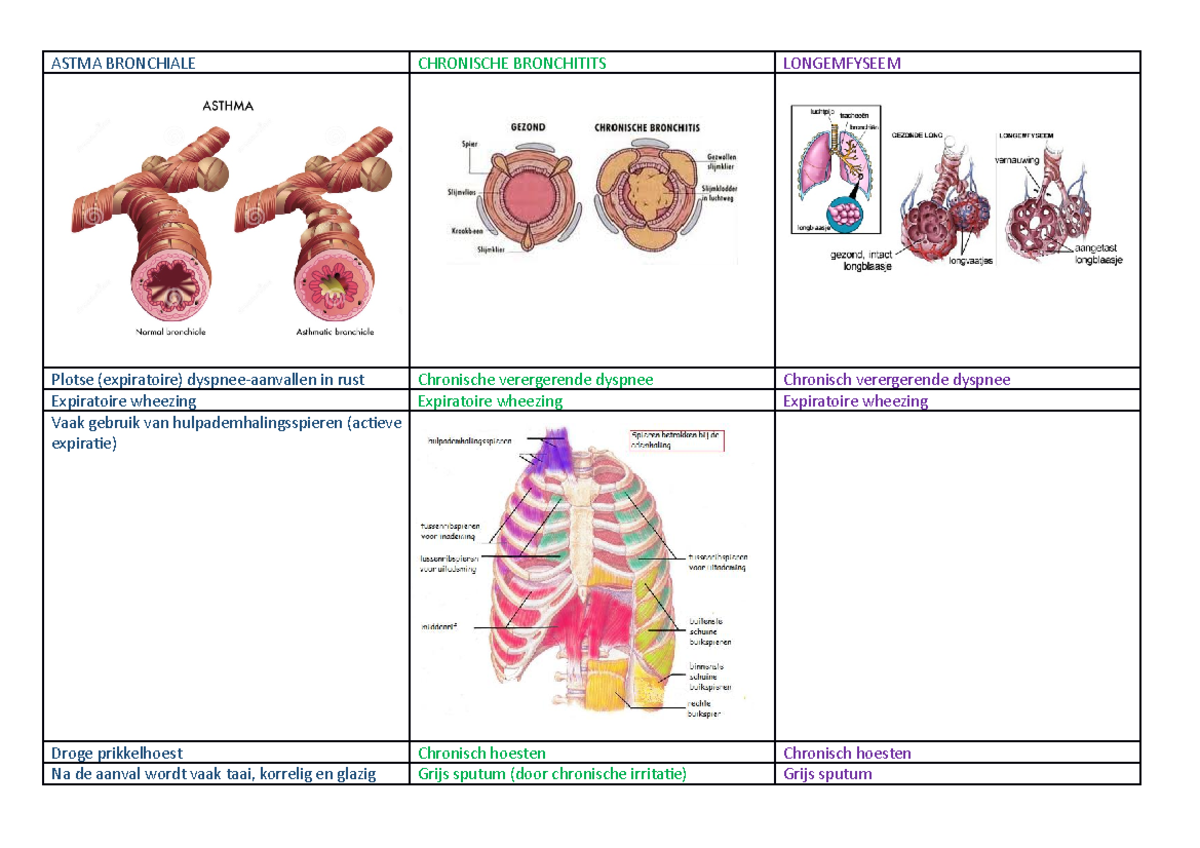 Samenvatting Astma Bronchiale - ASTMA BRONCHIALE CHRONISCHE BRONCHITITS ...