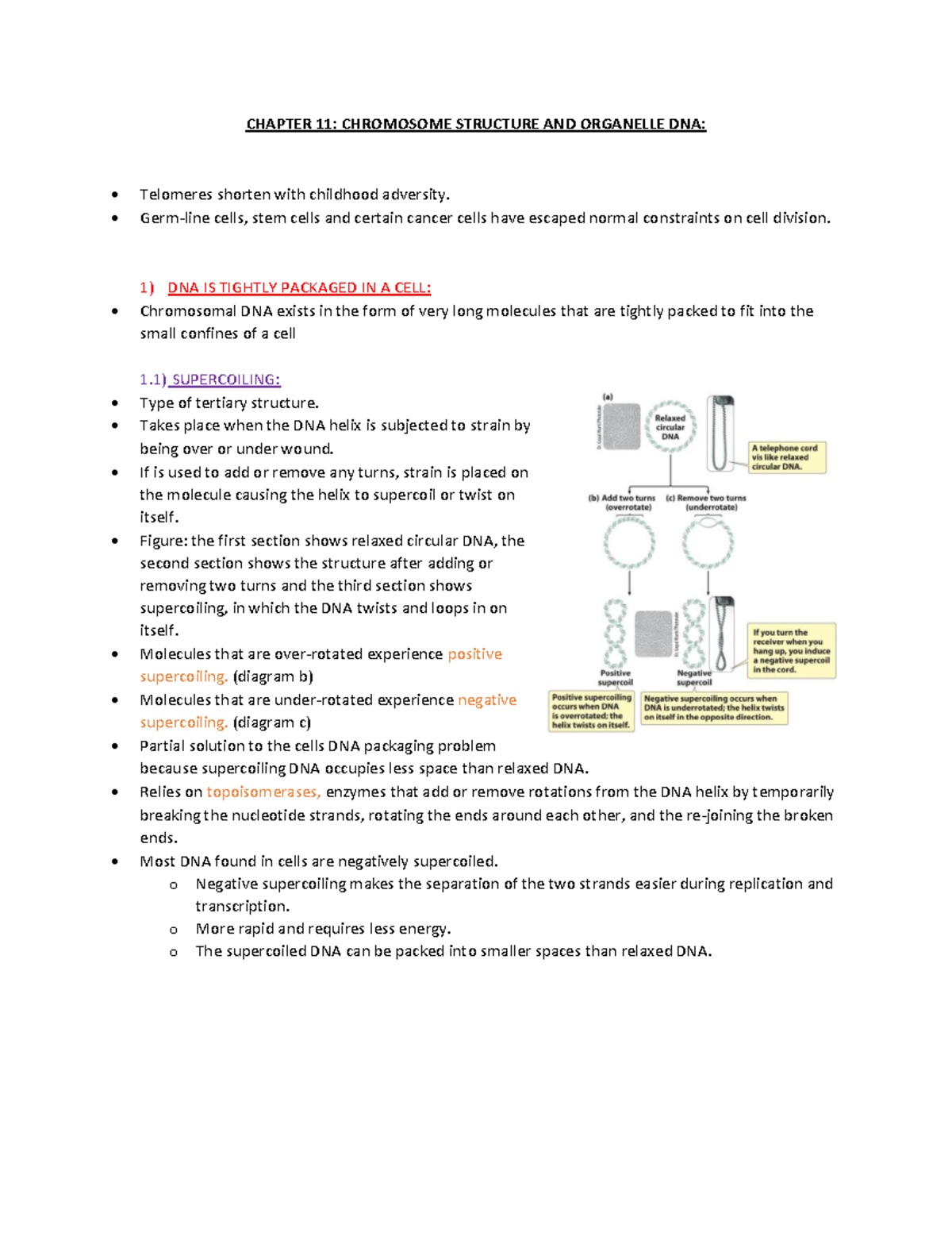 Chapter 11 - GTS 251 notes from the textbook as well as lecture notes ...