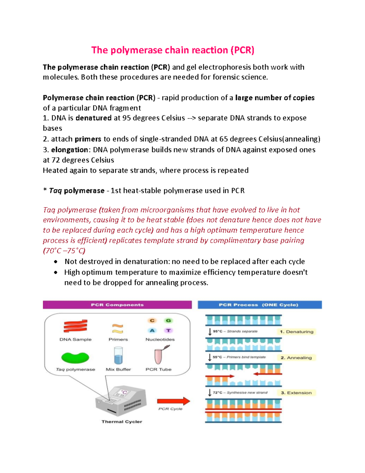 PCR - Notes for PCR - The polymerase chain reaction (PCR) The ...