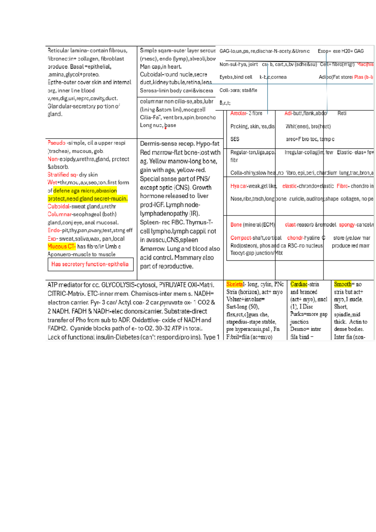 Bio cheat sheet - Summary Biology for Biomedical Science: Cellular ...