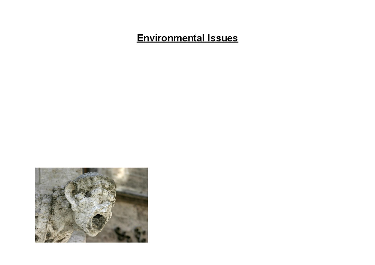 Environmental-Issues - Environmental Issues Environmental issue What is ...