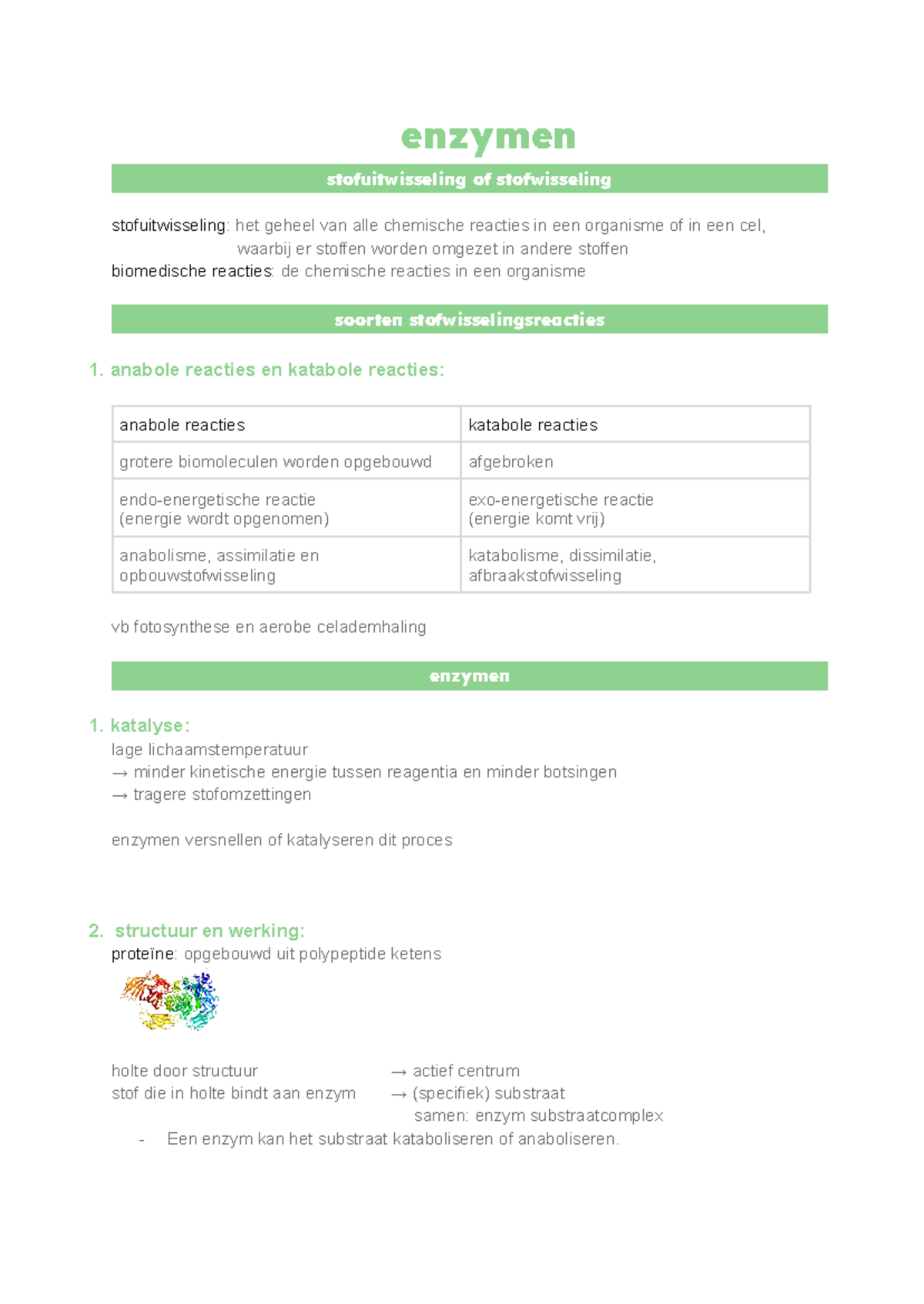 Enzymen samenvatting - enzymen stofuitwisseling of stofwisseling ...