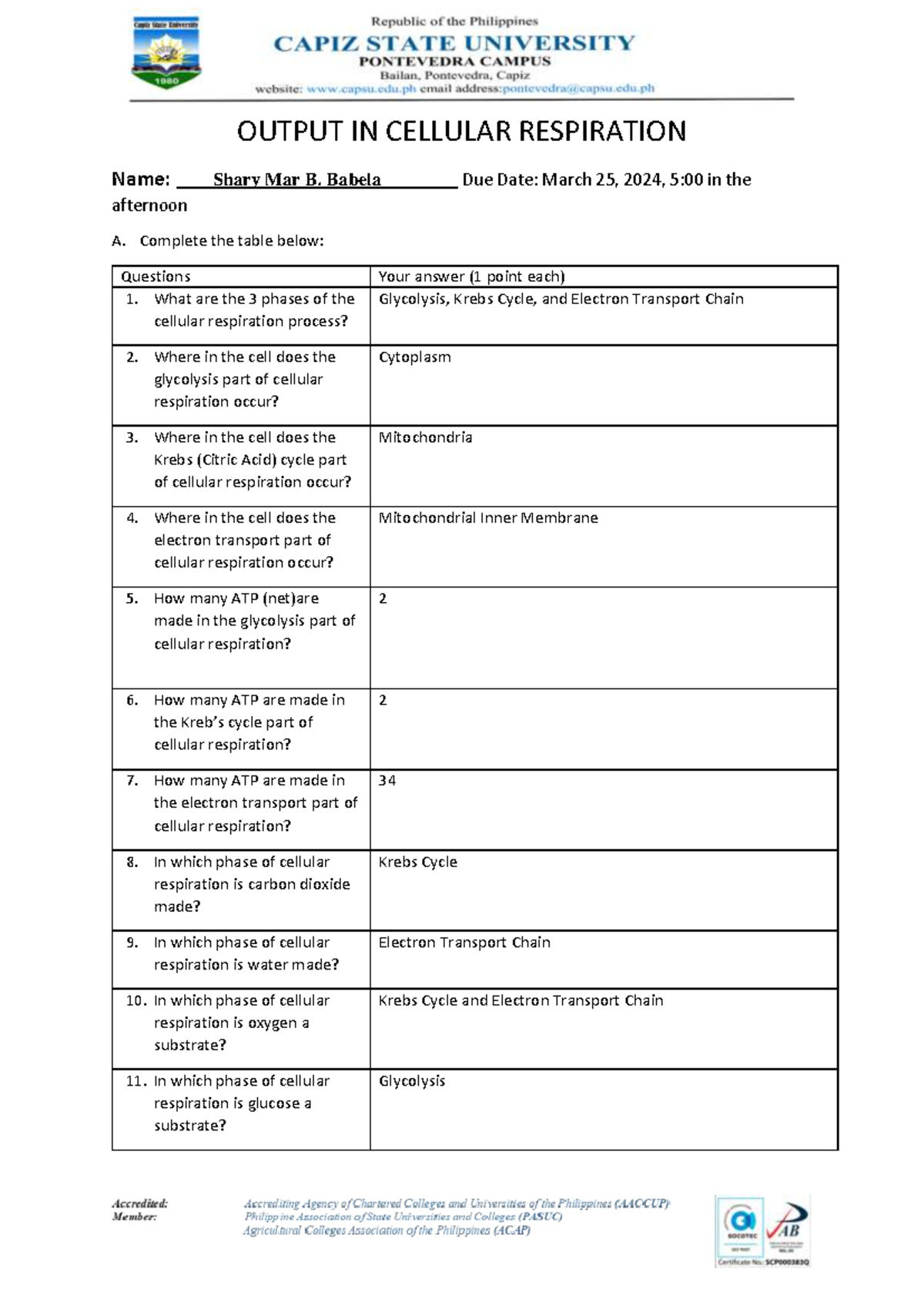 Output in Cellular Respiration - OUTPUT IN CELLULAR RESPIRATION Name