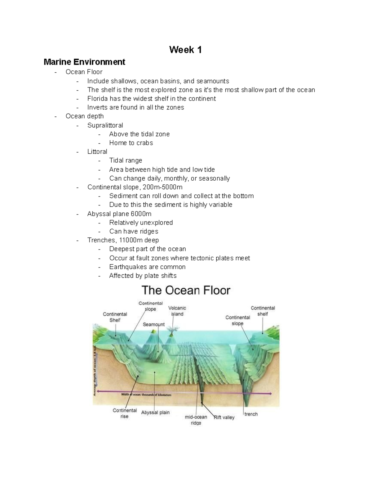 Marine Invert Zoo Exam 1 - Week 1 Marine Environment Ocean Floor ...