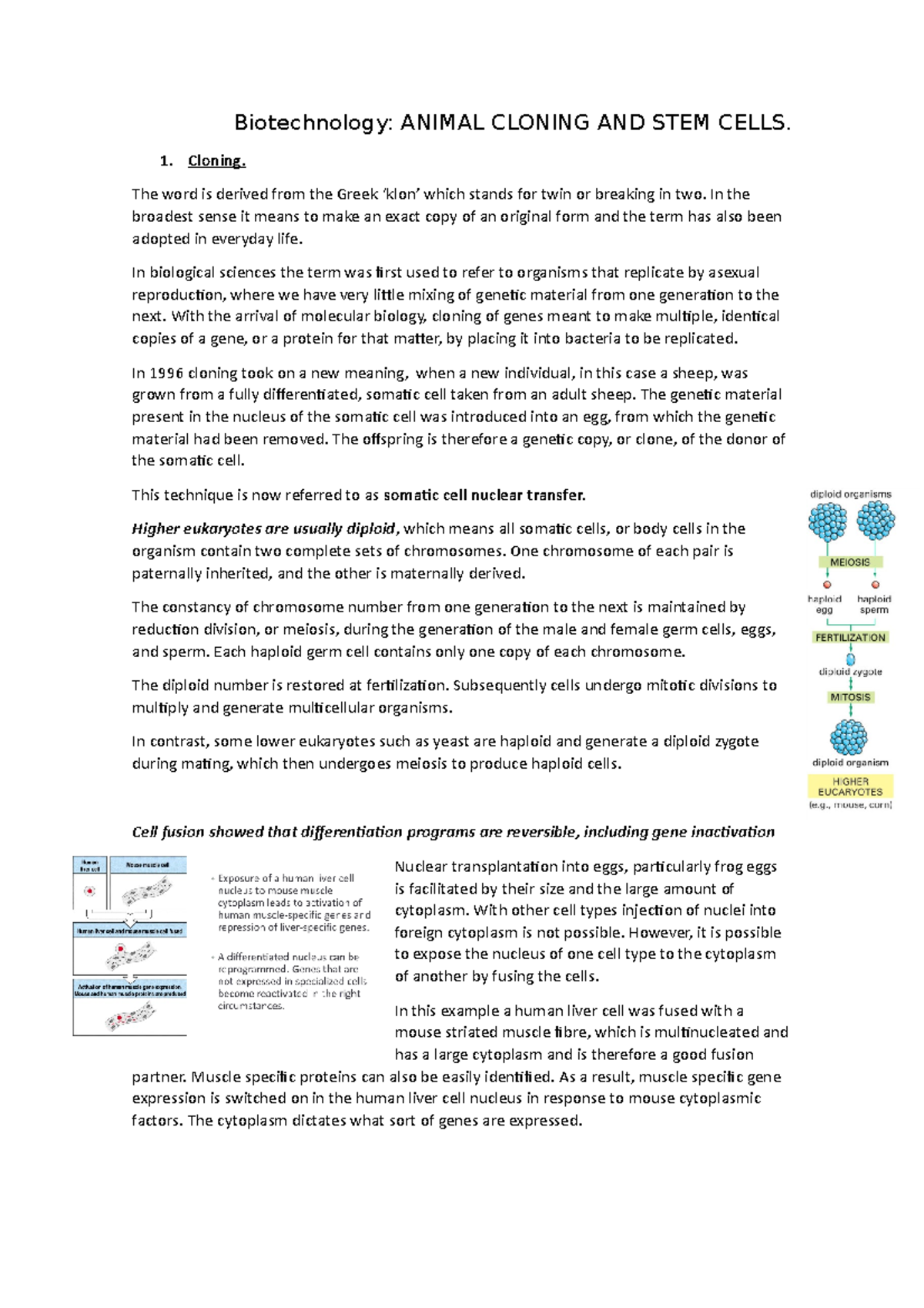 18. Biotechnology. Animal cloning and stem cells - Biotechnology ...