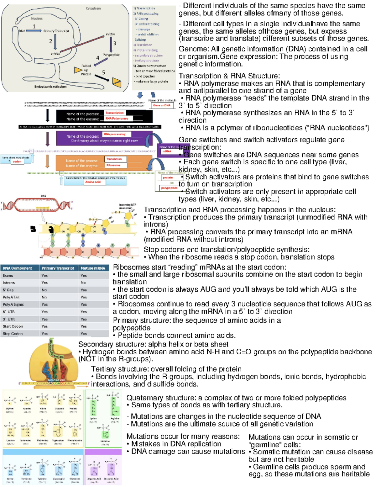 Bio 148 Exam 2 Bio Buddy - Different individuals of the same species ...