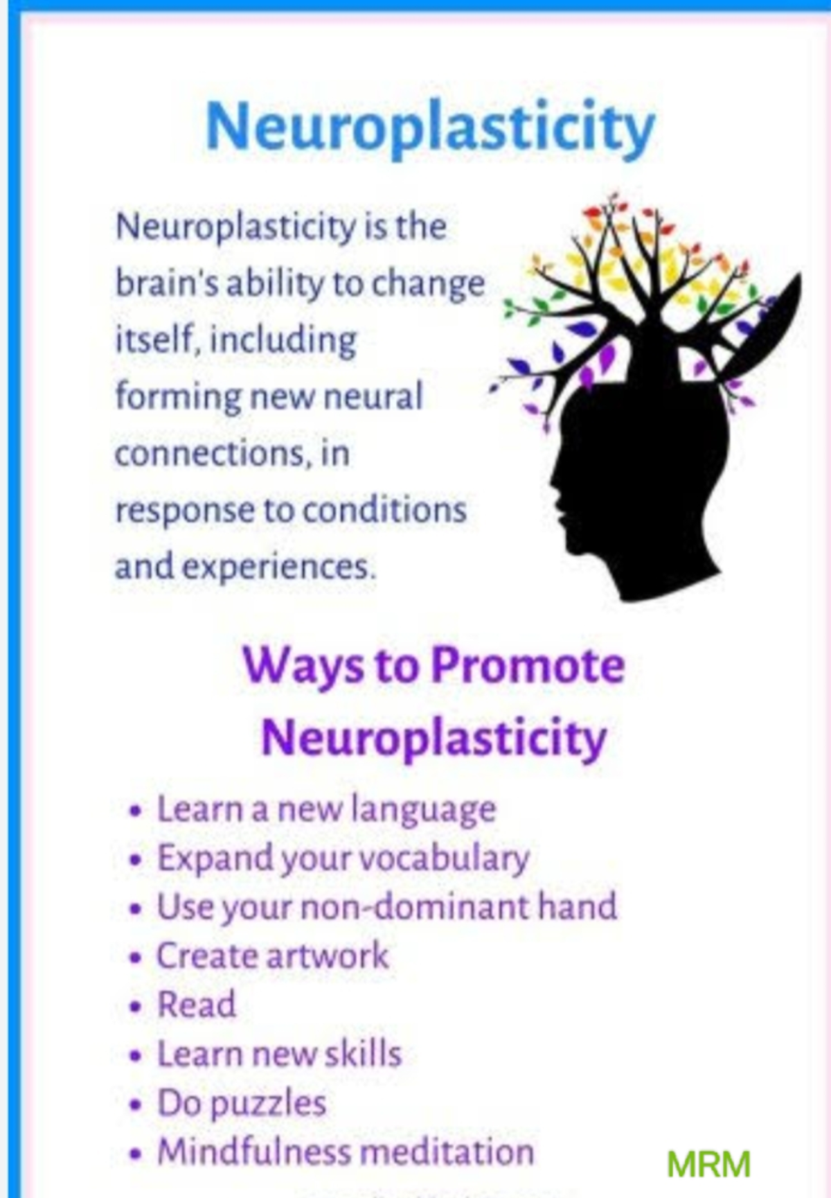 Neuroplasticity - Practical notes - Workshop - Studocu