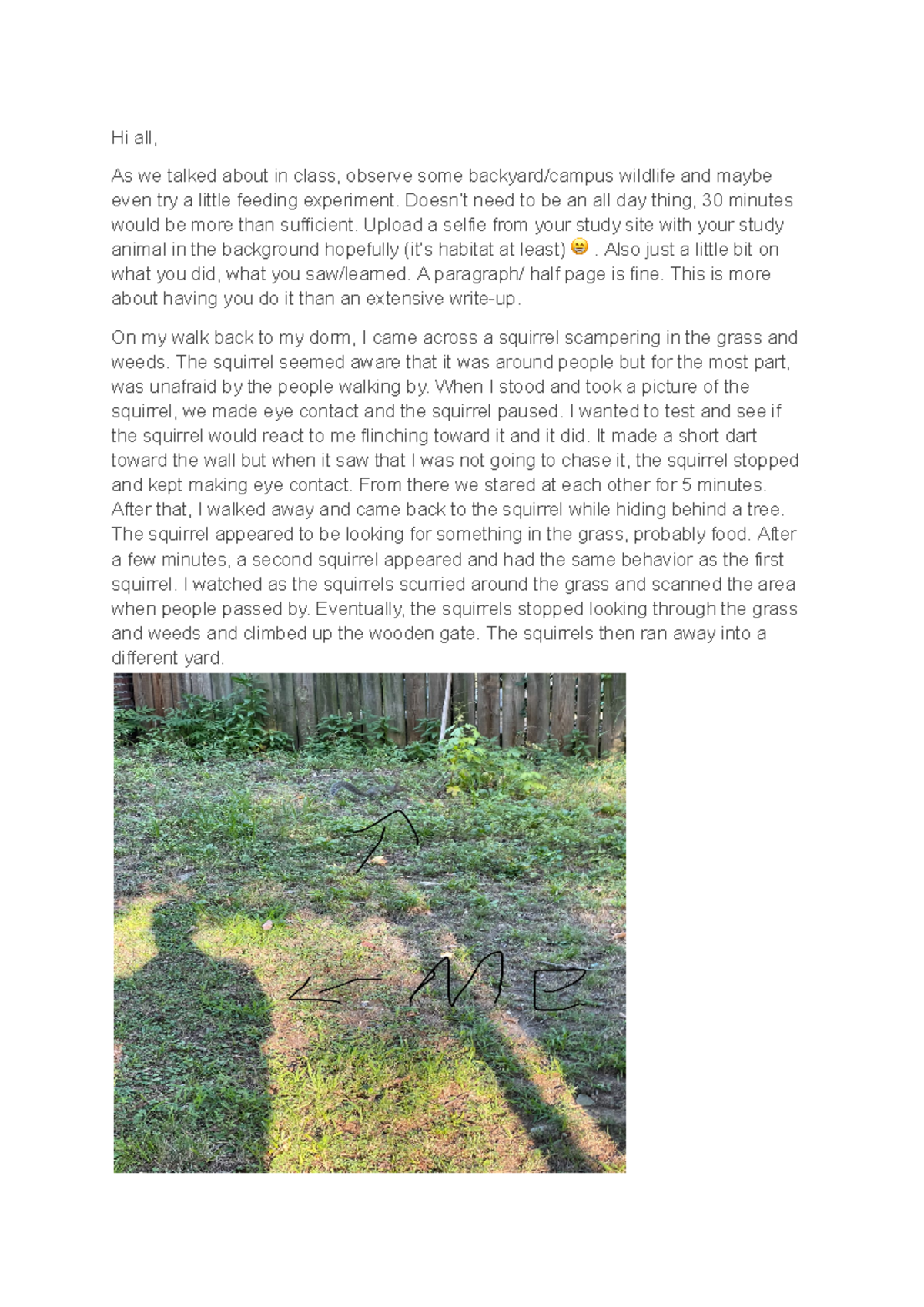 Backyard Write-Up - Google Docs - Hi all, As we talked about in class, observe some backyard ...