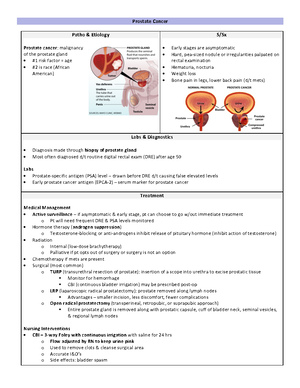 BIO 140 Chapter 3 The Cell - The Cell Outline: • Eukaryotic Cells ...