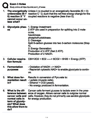 Cell bio photosynthesis packet - Name