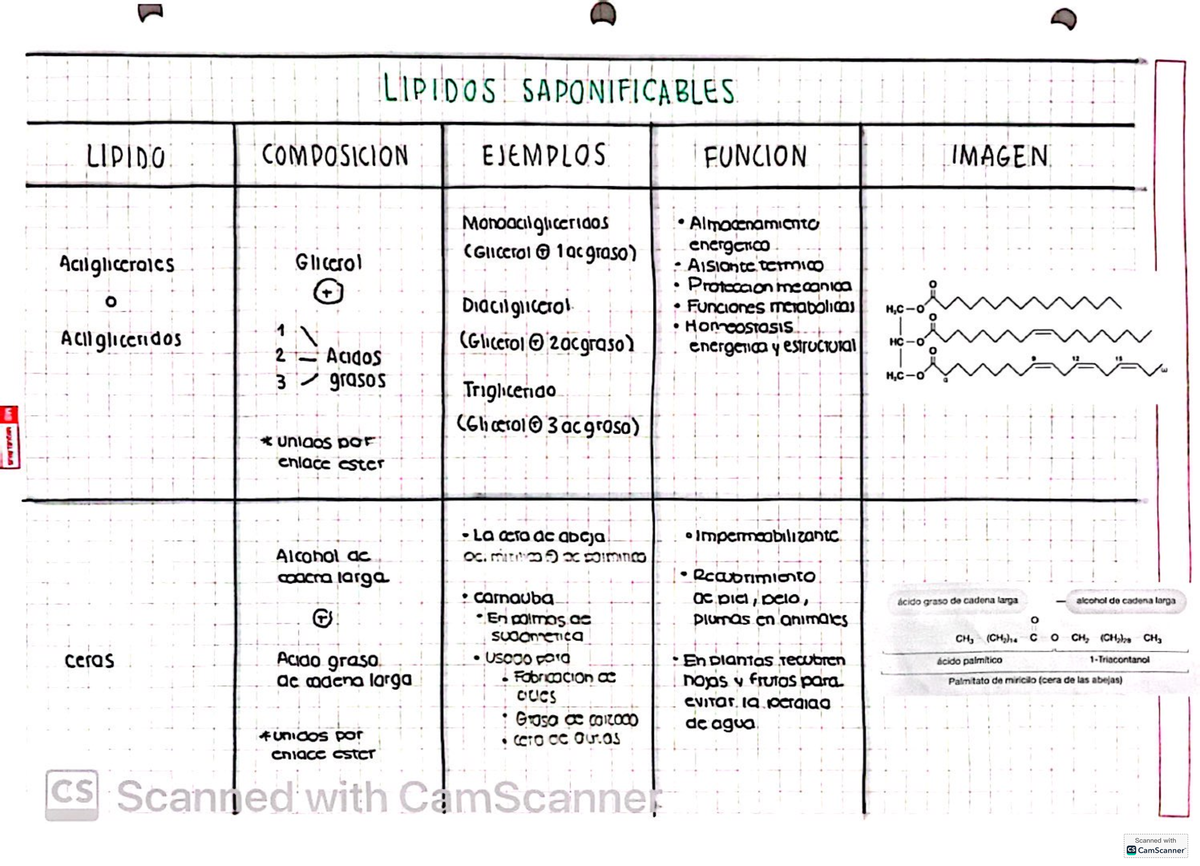 Tabla tipos de lípidos - LIPIDOS SAPONIFICABLES LIPIDO COMPOSICION ...