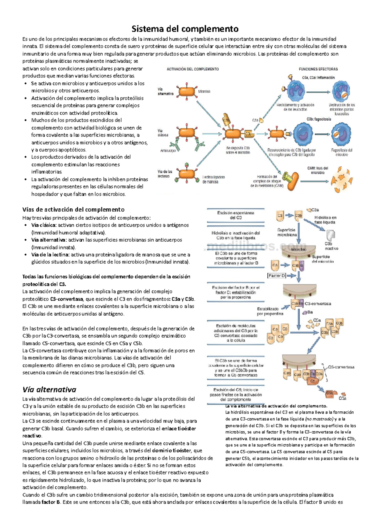 Sistema del complemento - El sistema del complemento consta de suero y proteínas de superficie ...
