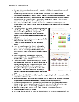 UE - upper extremity notes - Upper Extremity Shoulder is highly mobile ...