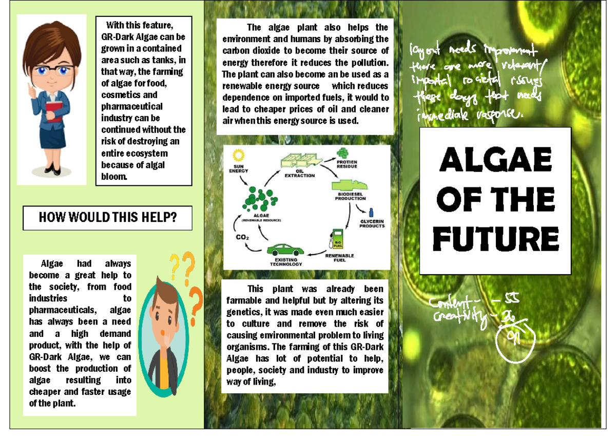 how algae power will help in the future biofuel of the world and how ...