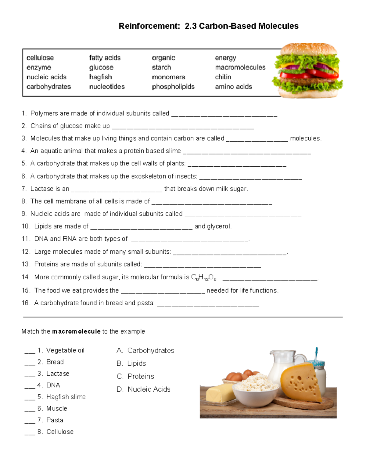 Sec. 2.3 Carbon-Based Molecules Practice Sheet - Reinforcement: 2 ...